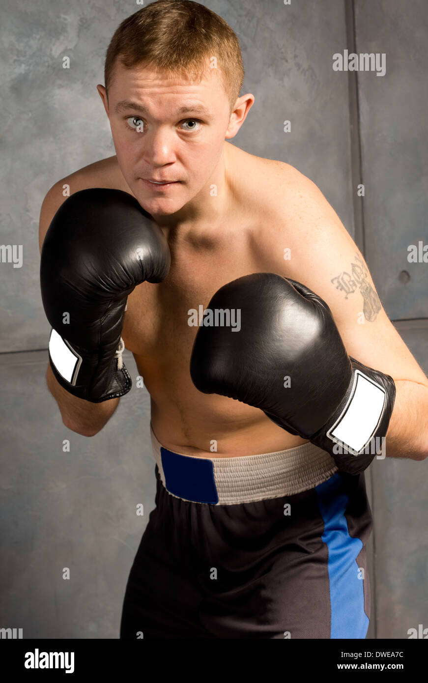 Professional young boxer in a fight crouching forwards with his fists ...