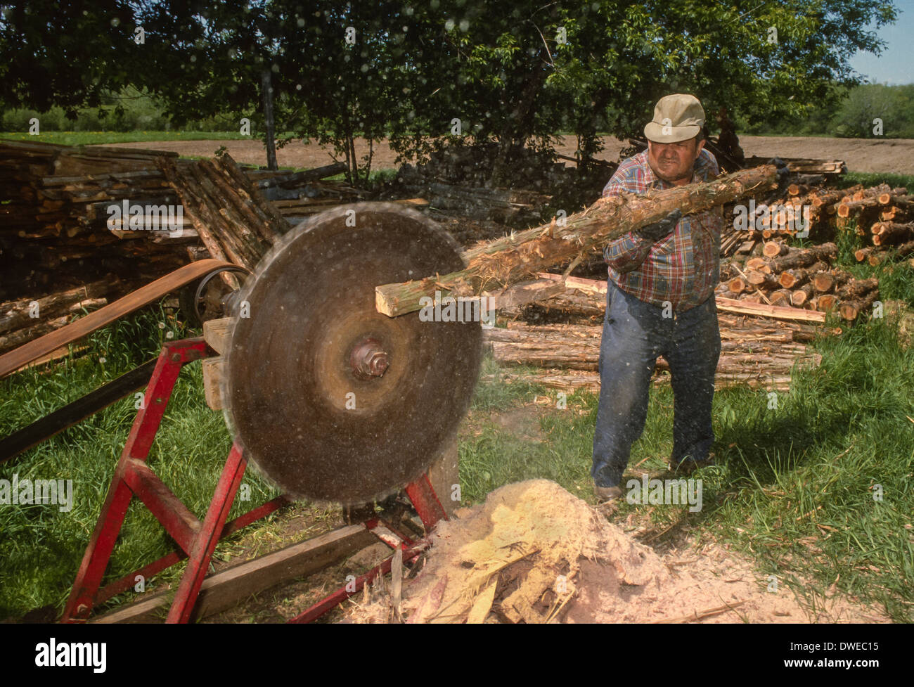 OSWEGO COUNTY, NEW YORK, USA - Man sharpening fence posts with circular ...