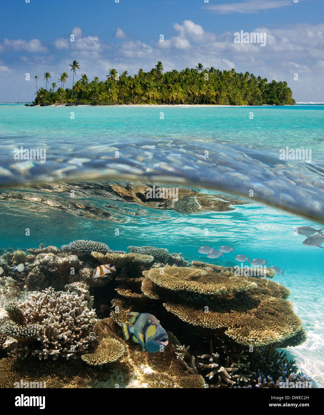 Tropical Lagoon of Aitutaki - Cook Islands - South Pacific Ocean Stock ...