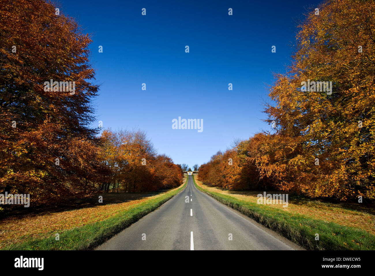Country road in Autumn Stock Photo - Alamy