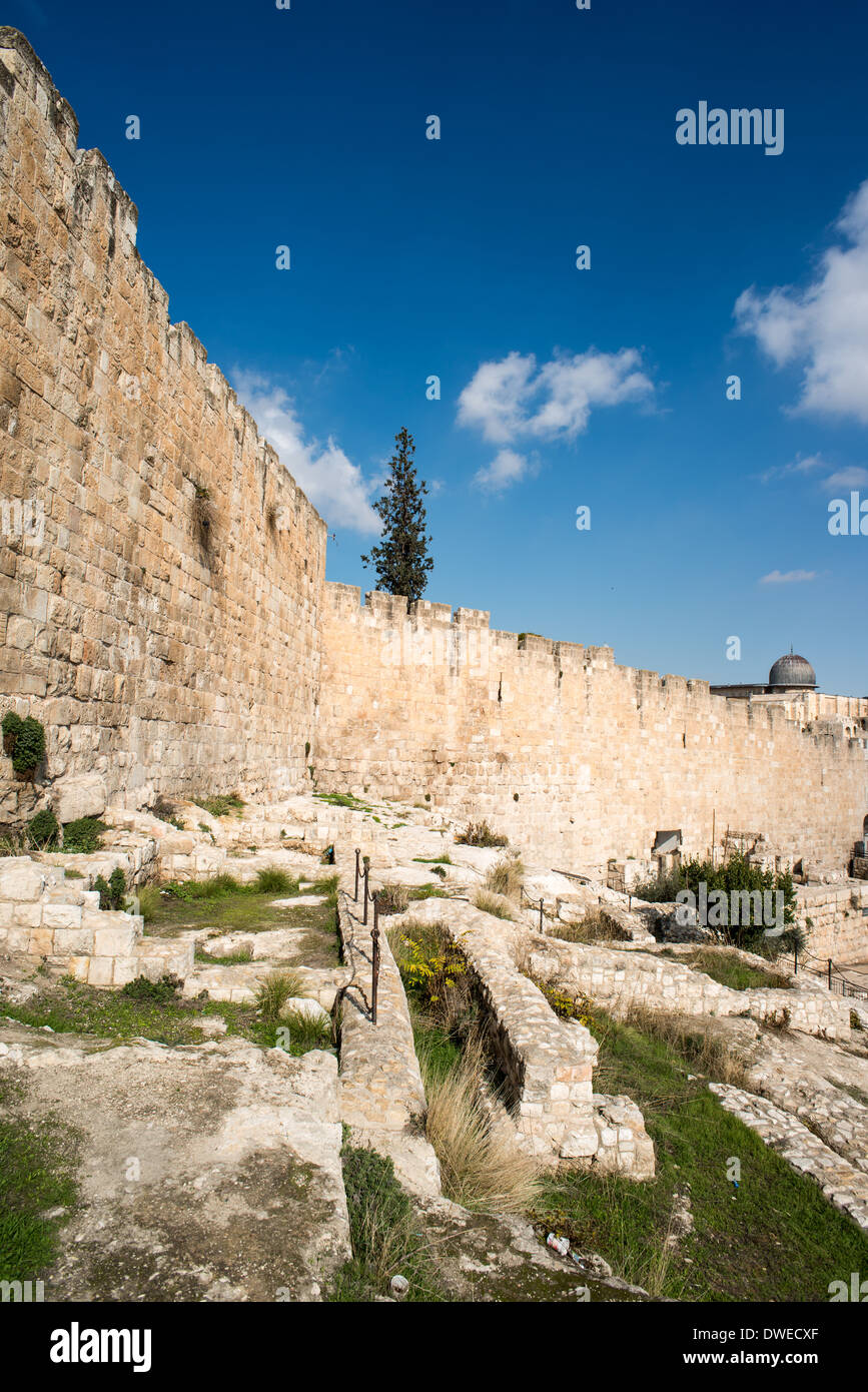 Garden al aqsa hi-res stock photography and images - Alamy