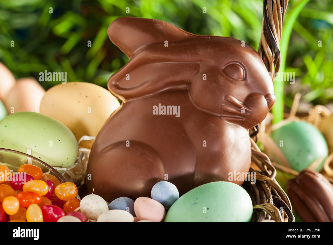 Cute Chocolate Bunny