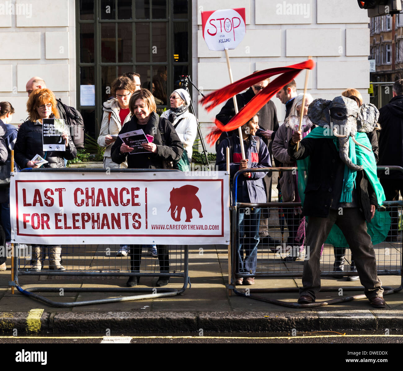 Ivory poaching protest china hi-res stock photography and images - Alamy