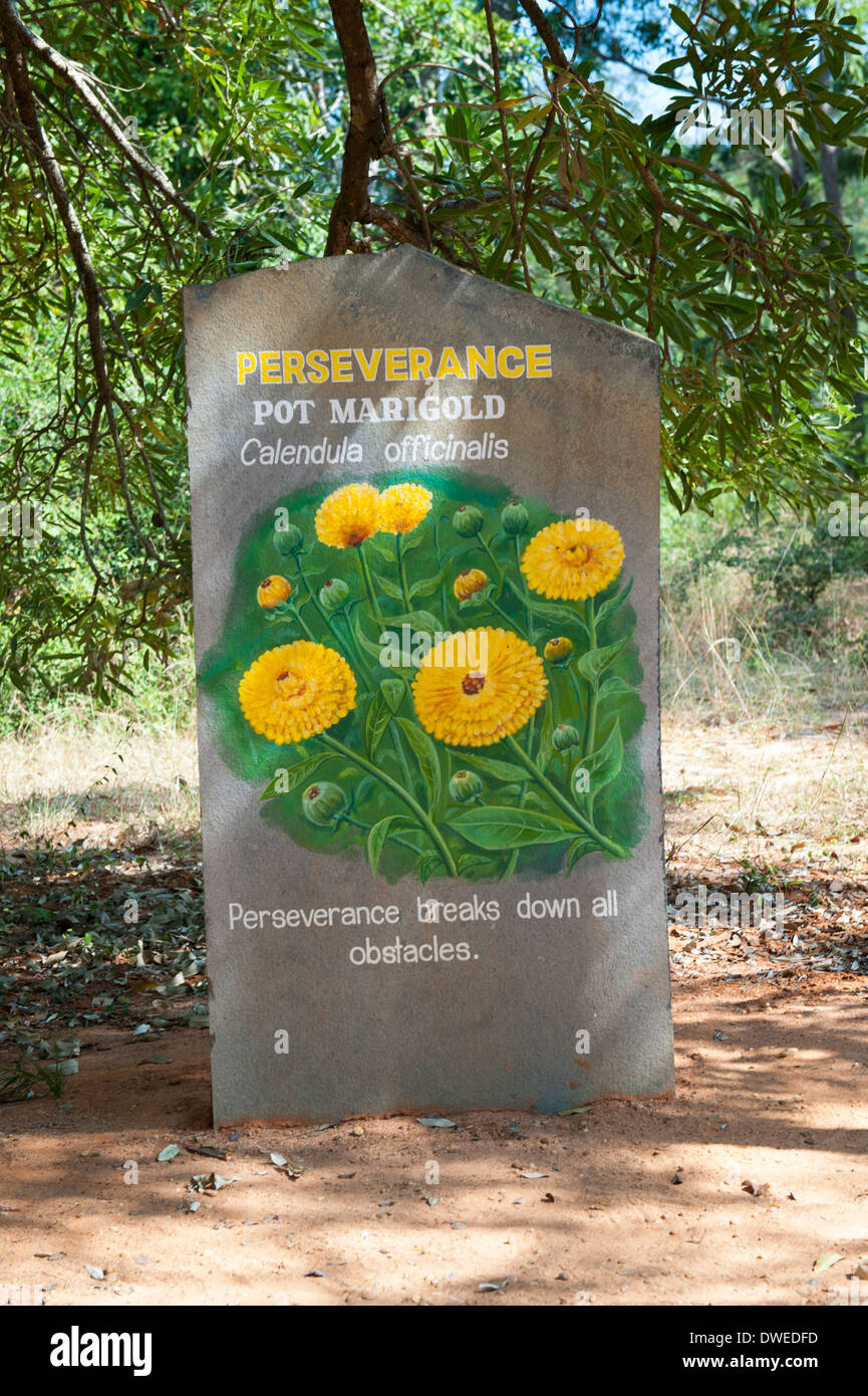 India Tamil Nadu Pondicherry Puducherry Auroville meditation spiritual ...