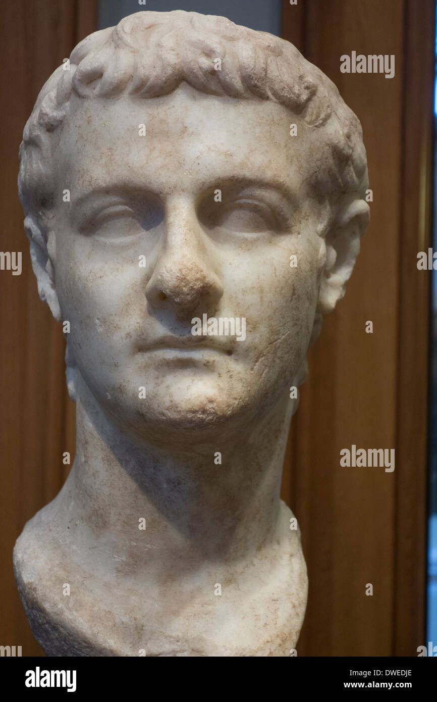 Bust Of Head High Resolution Stock Photography and Images - Alamy