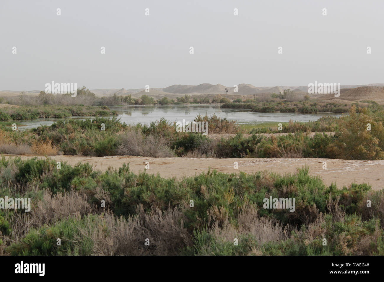 Scenic view of the swamps in Wadi Malaha or Al-Malha nature reserve ...