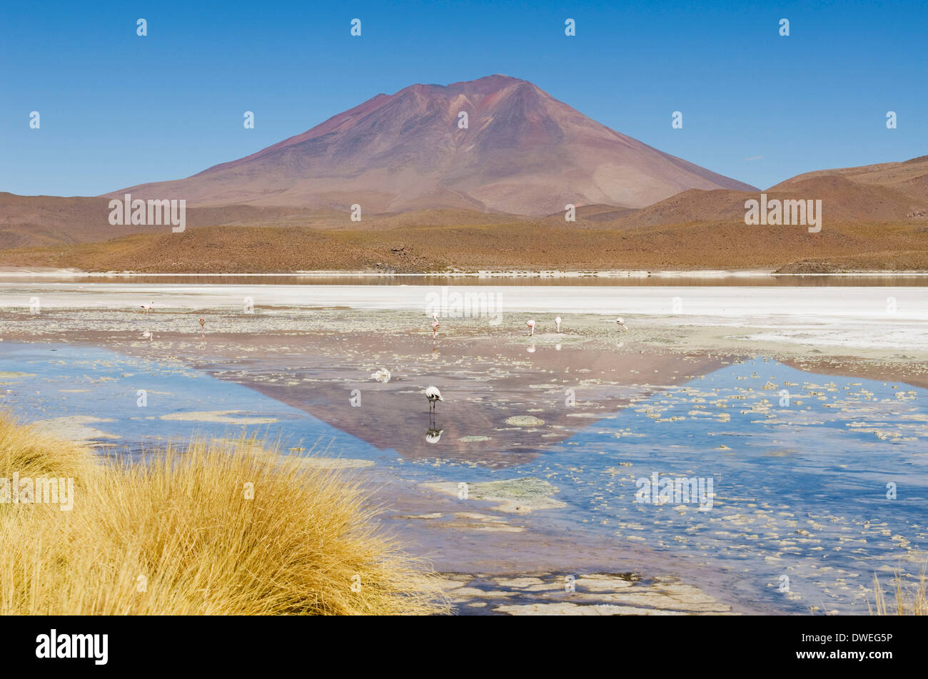 Laguna hedionda hi-res stock photography and images - Alamy