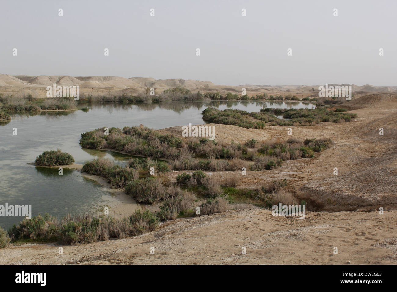 Scenic view of the swamps in Wadi Malaha or Al-Malha nature reserve ...