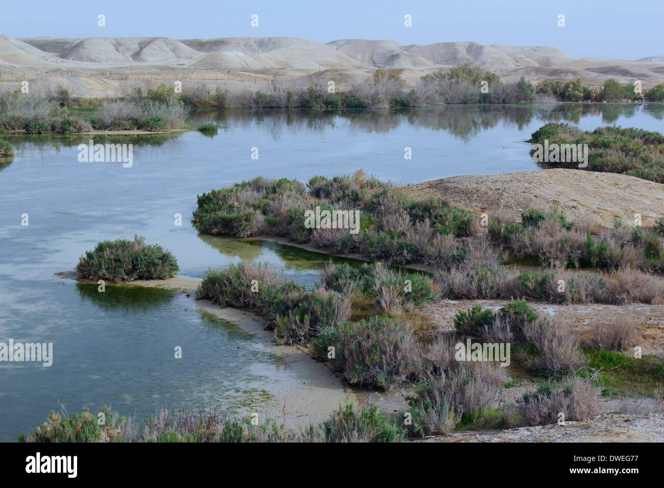 Scenic view of the swamps in Wadi Malaha or Al-Malha nature reserve ...