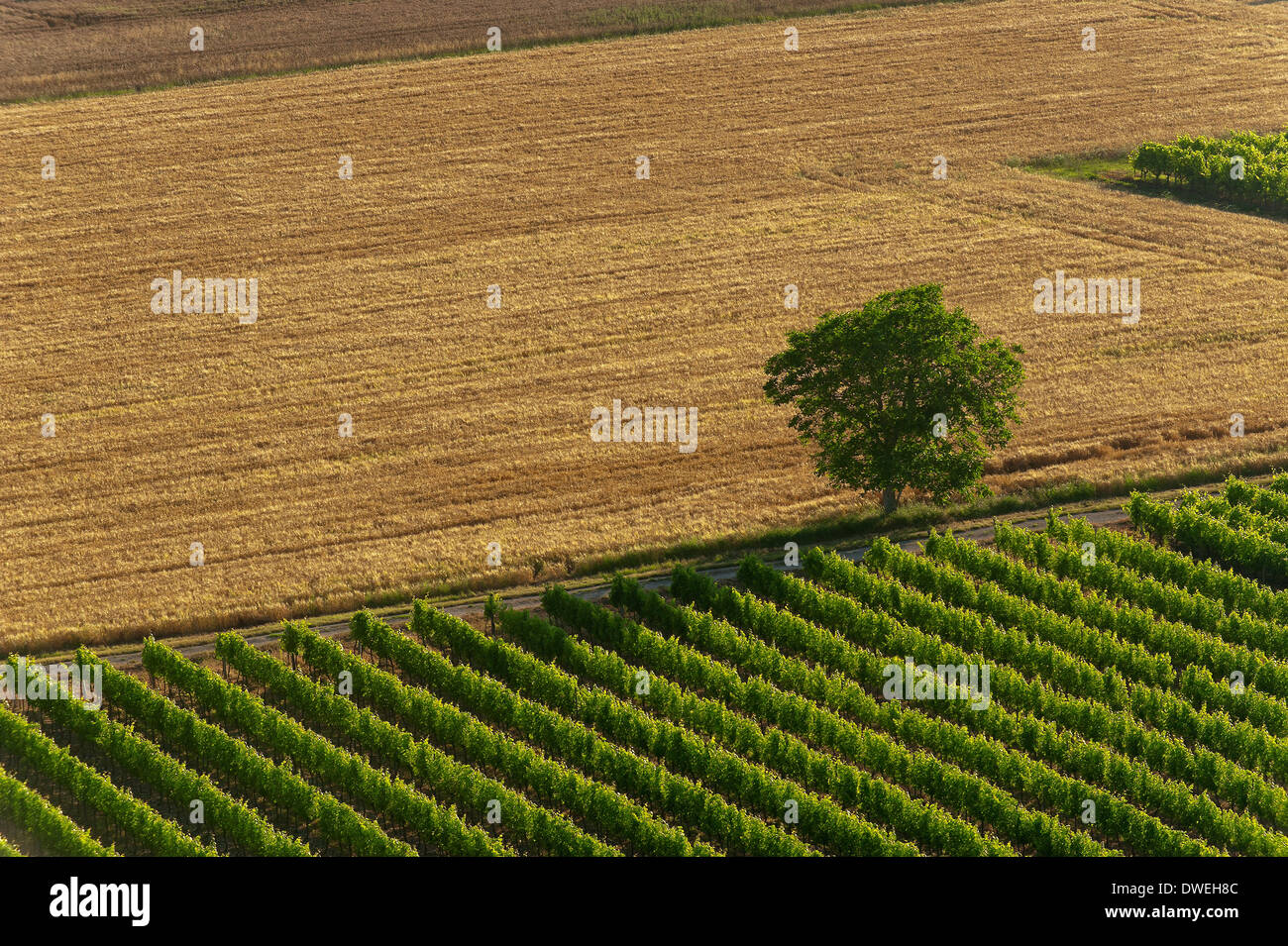 Jarnac champagne hi-res stock photography and images - Alamy