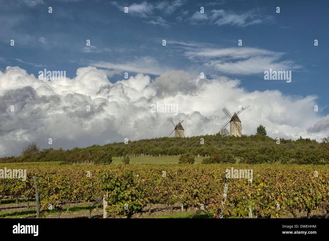 Vibrac hi-res stock photography and images - Alamy