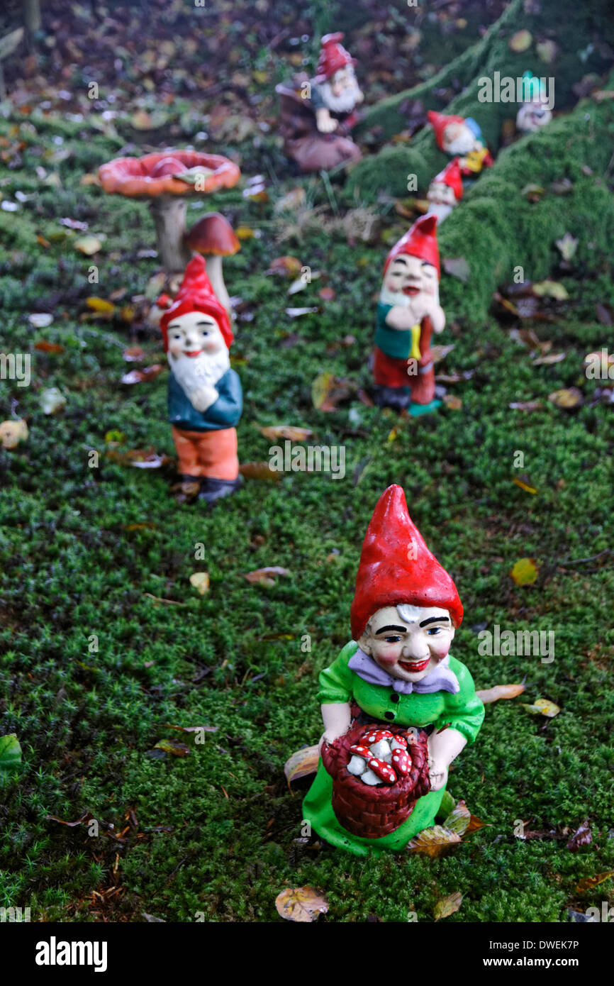 Gnomes in the gnome reserve at Bradworthy, Devon, England Stock Photo ...
