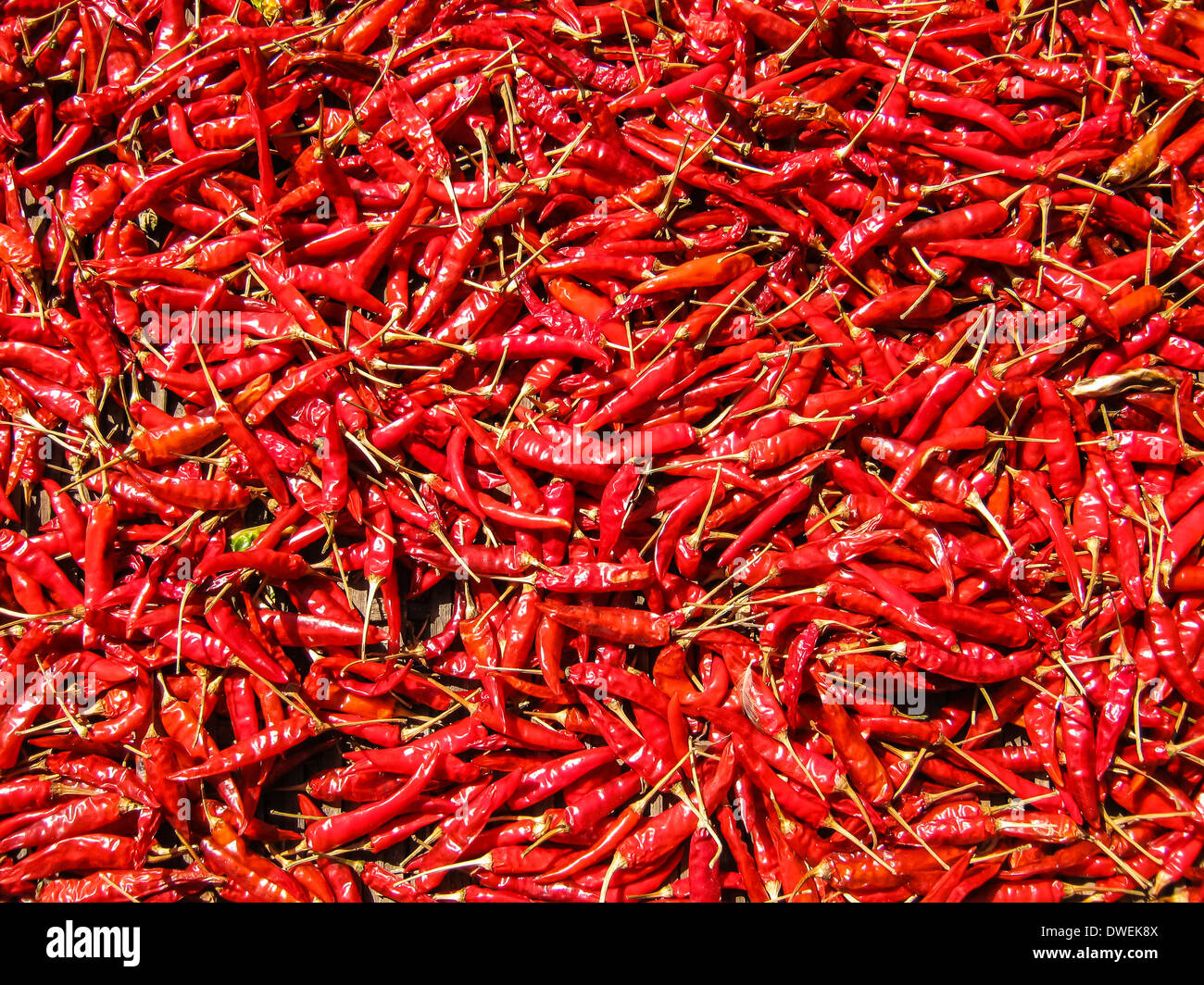 Red dried chilli Stock Photo - Alamy