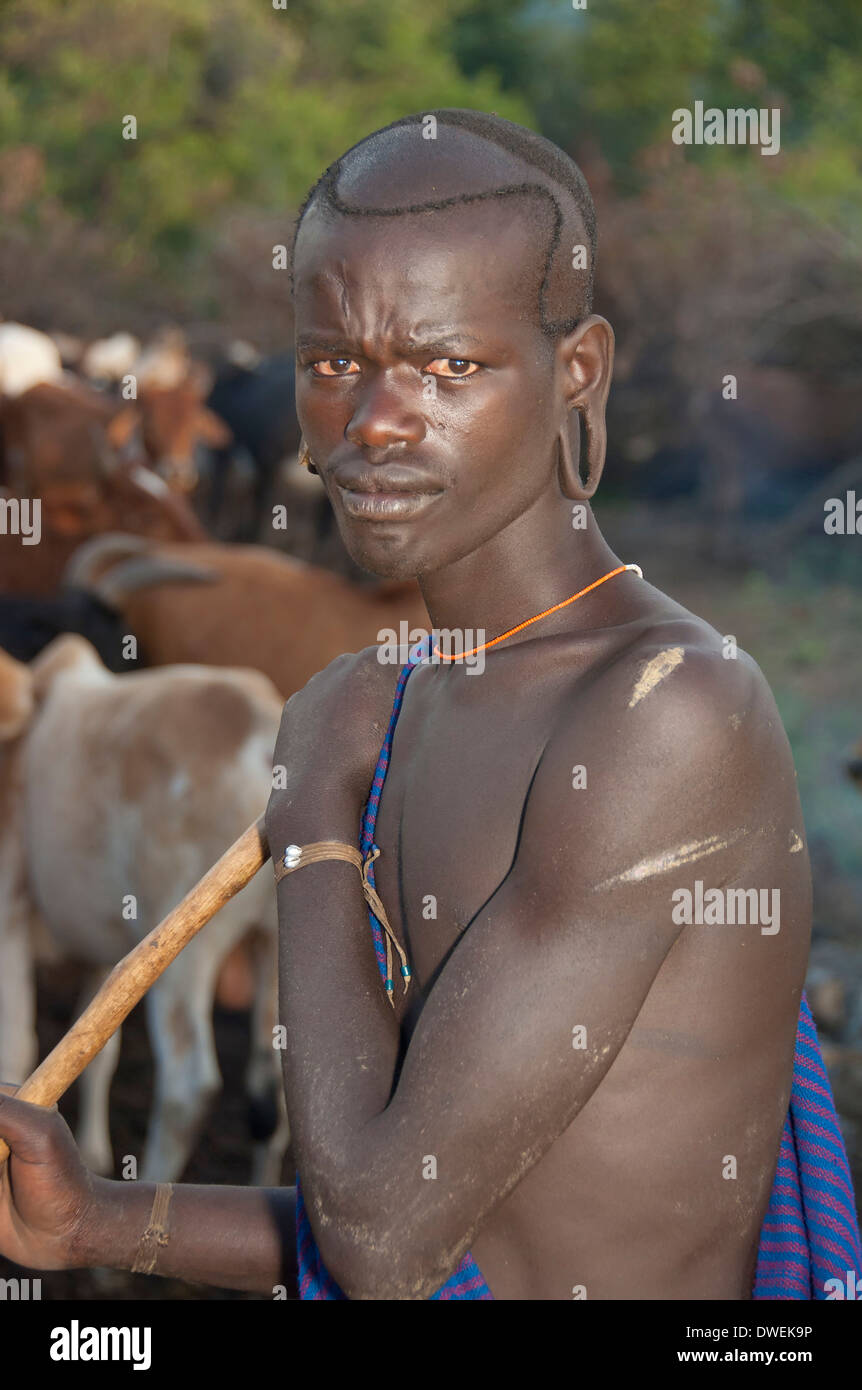 Surma herder with cattle hi-res stock photography and images - Alamy