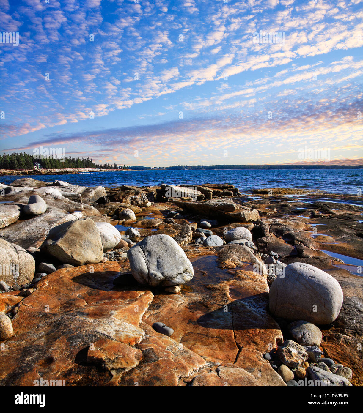 Boulders Strewn On The Rocky Shoreline At Acadia National Park, Maine ...