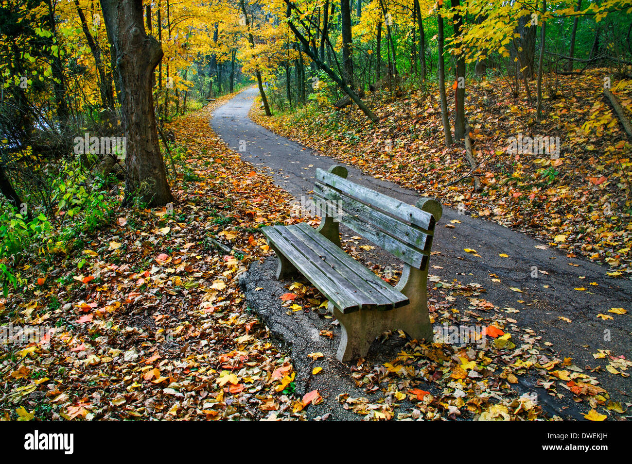 A Walking Path And Park Bench Amid The Brilliant Colors Of A Rainy ...