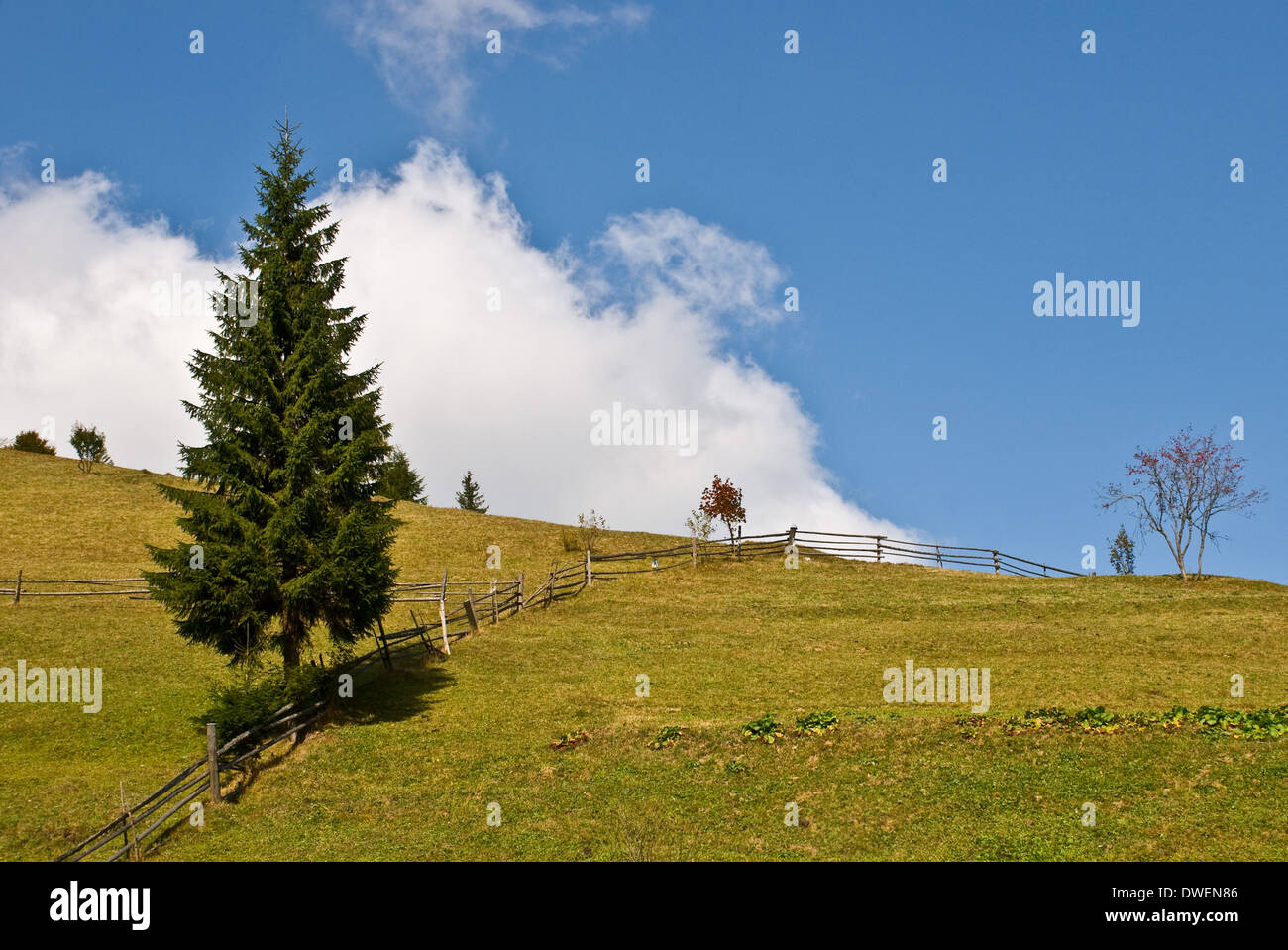Autumn mountain landscape in September Stock Photo - Alamy