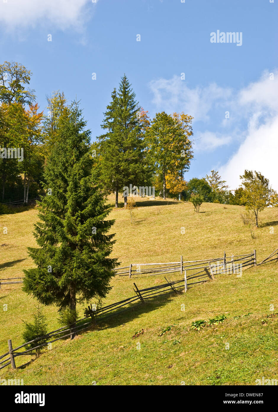 Autumn mountain landscape in September Stock Photo - Alamy