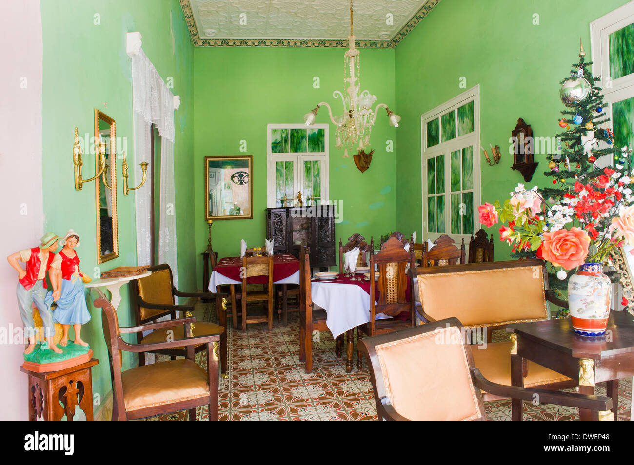 Paladar hi-res stock photography and images - Alamy