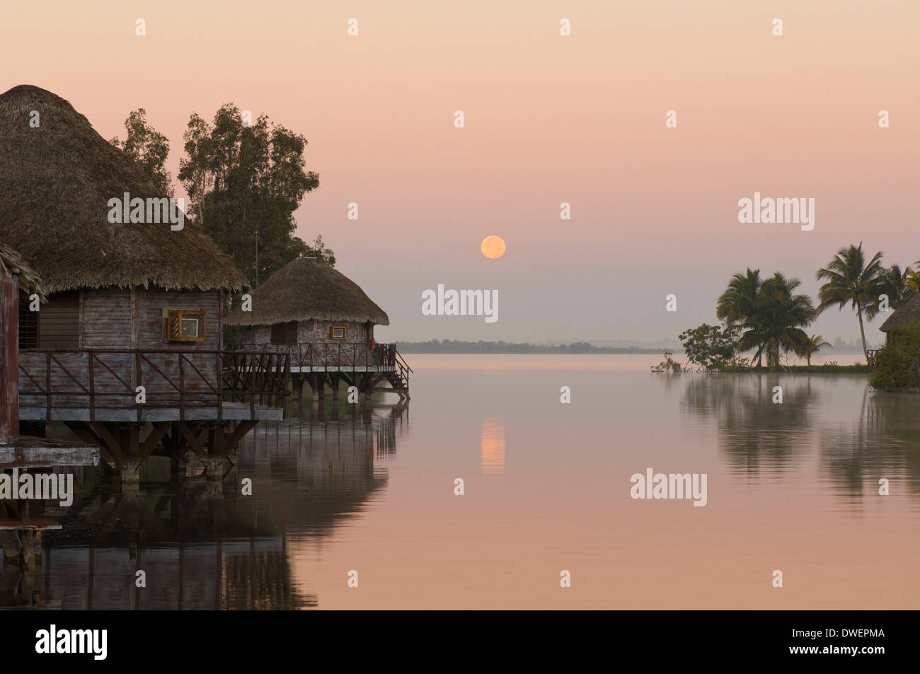 Zapata hi-res stock photography and images - Alamy