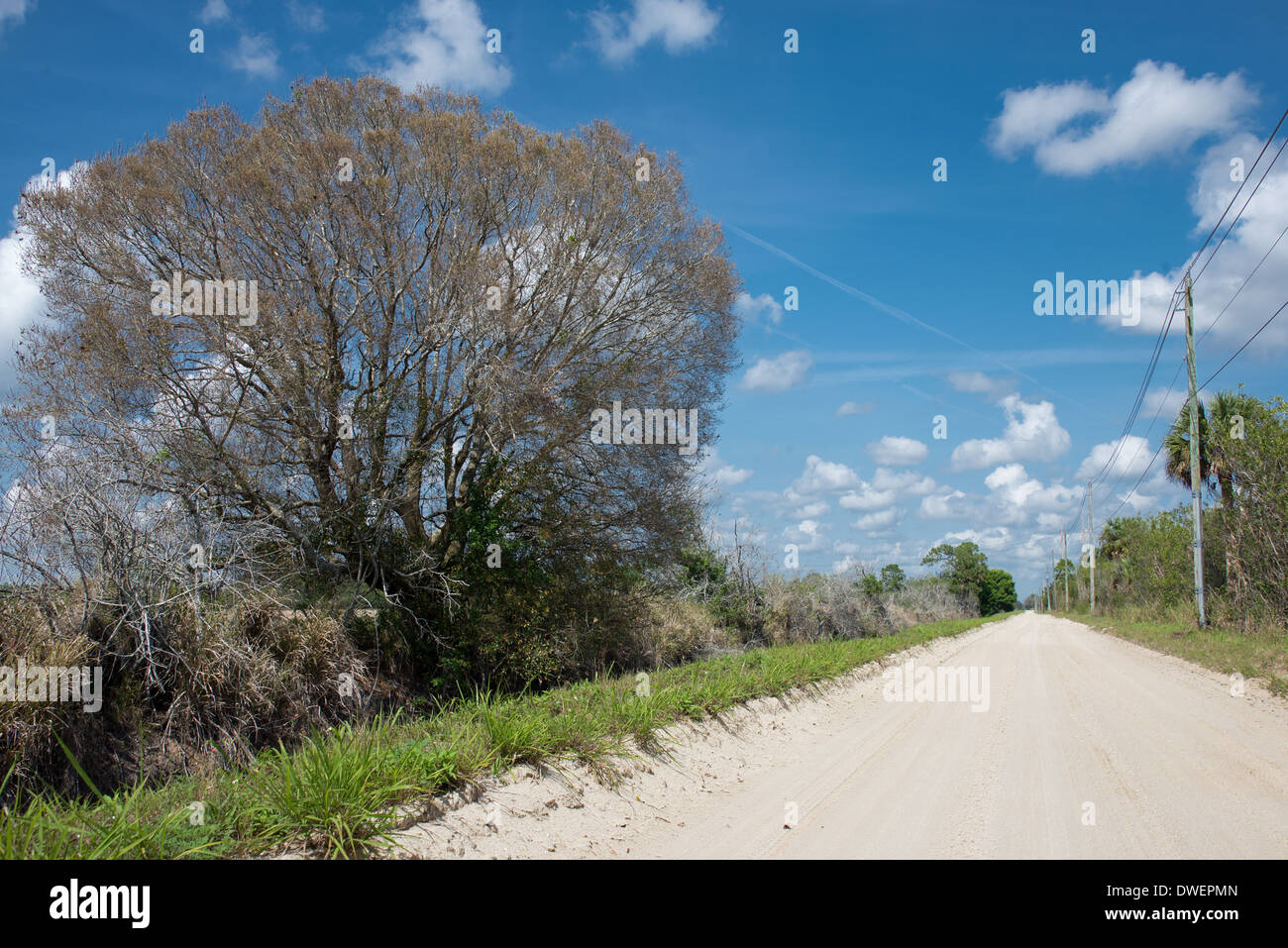 Country road in Florida, USA Stock Photo - Alamy