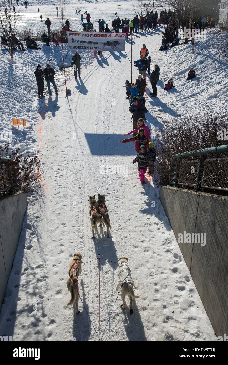 Anchorage, Alaska, USA. 1st Mar, 2014. Iditarod musher KRISTY BERINGTON ...