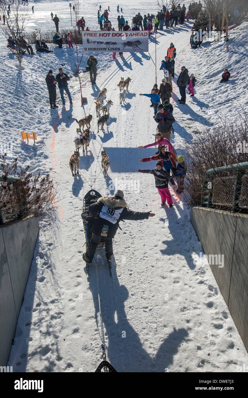 Anchorage, Alaska, USA. 1st Mar, 2014. Iditarod musher KRISTY BERINGTON ...
