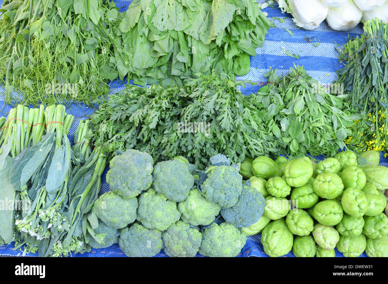 vegetables in the asian market Stock Photo - Alamy