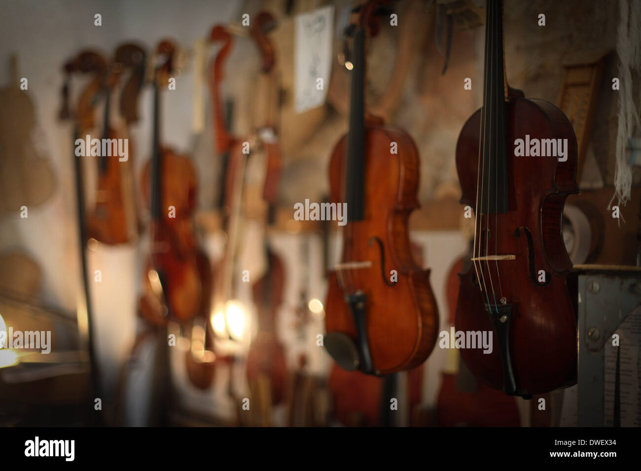 Violas instrument hi-res stock photography and images - Alamy