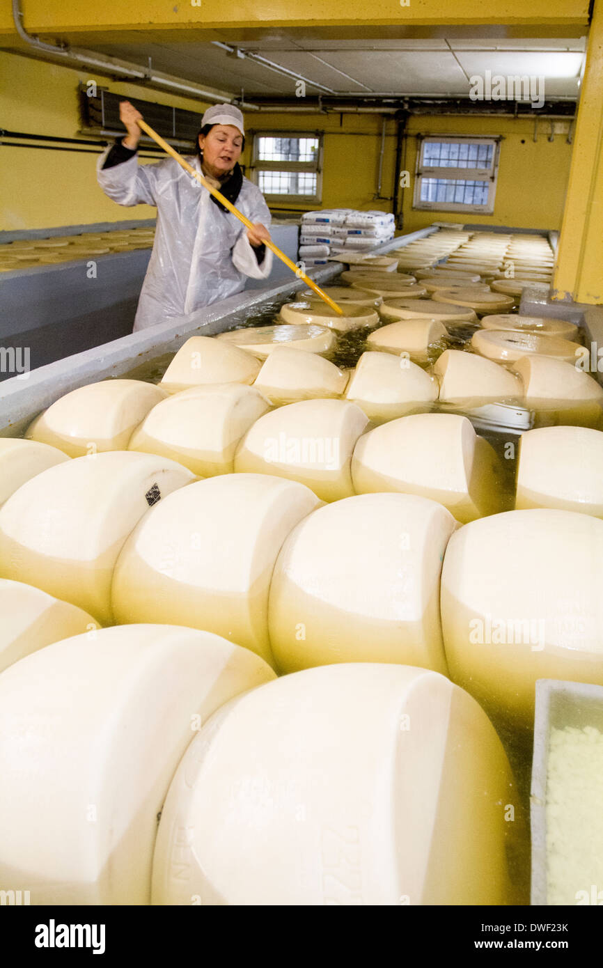 Parmigiano Reggiano cheese producer factory in Baganzolino, Parma ...