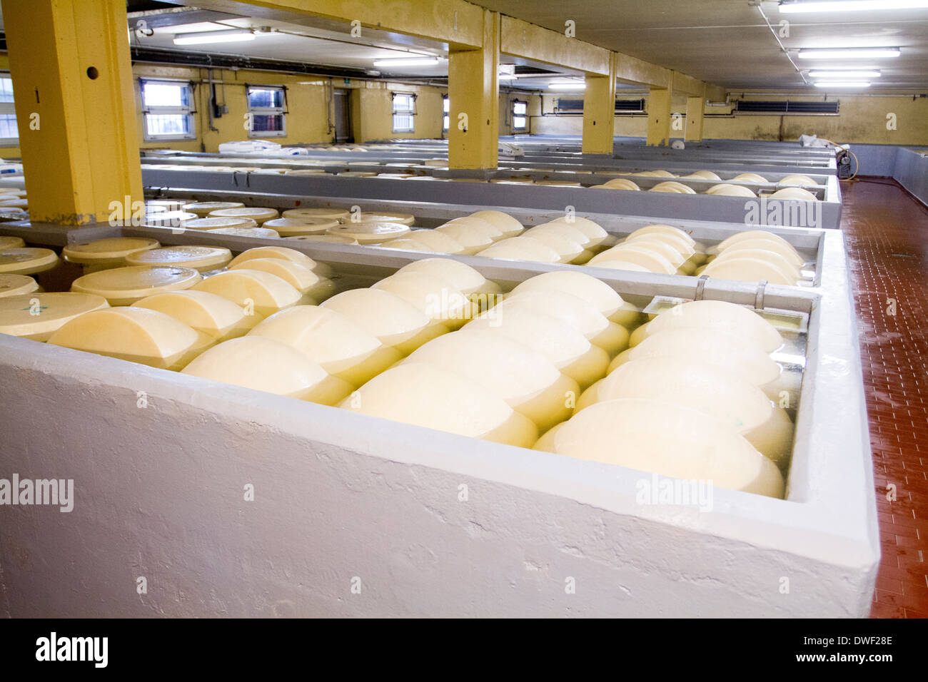 Parmigiano Reggiano cheese producer factory in Baganzolino, Parma ...