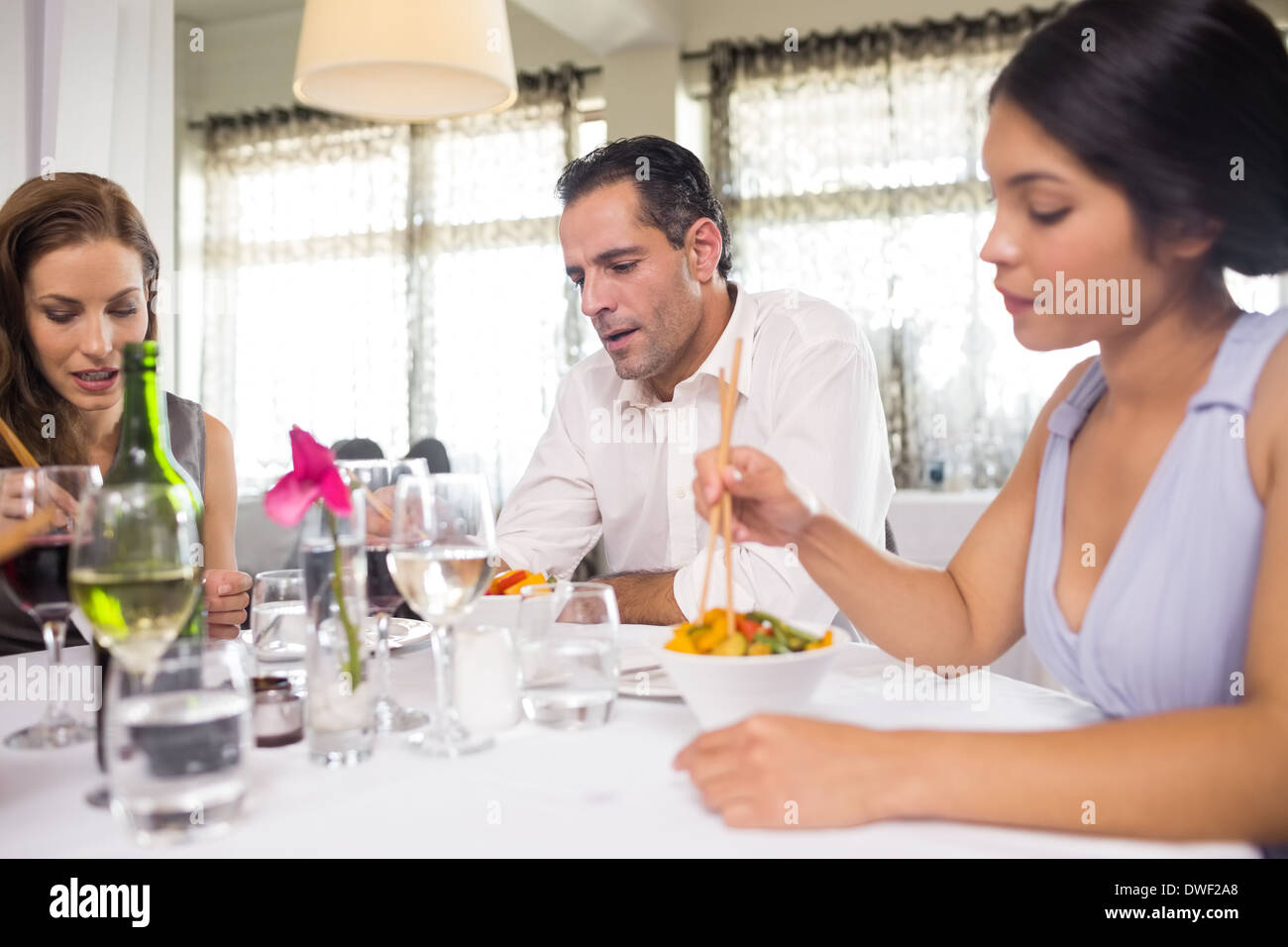 Business colleagues around dining table in restaurant Stock Photo - Alamy