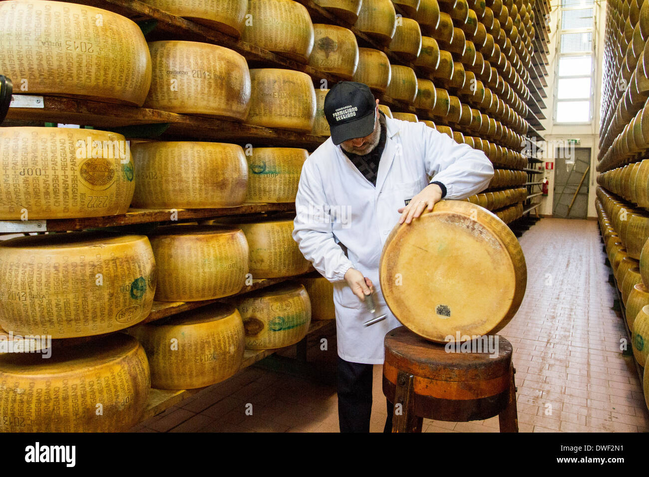 Parmesan Cheese Factory Visit at Darcy Sunderland blog