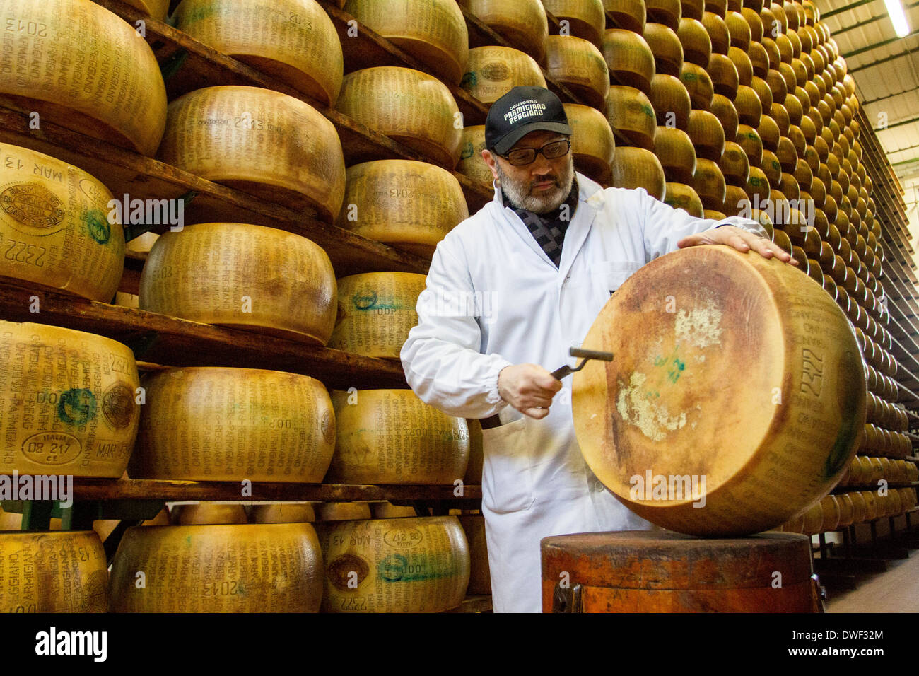 Parmigiano Reggiano cheese producer factory in Baganzolino, Parma ...