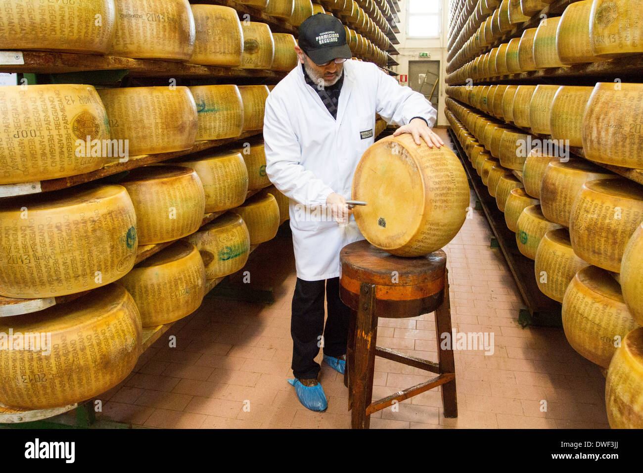 Parmigiano Reggiano cheese producer factory in Baganzolino, Parma ...