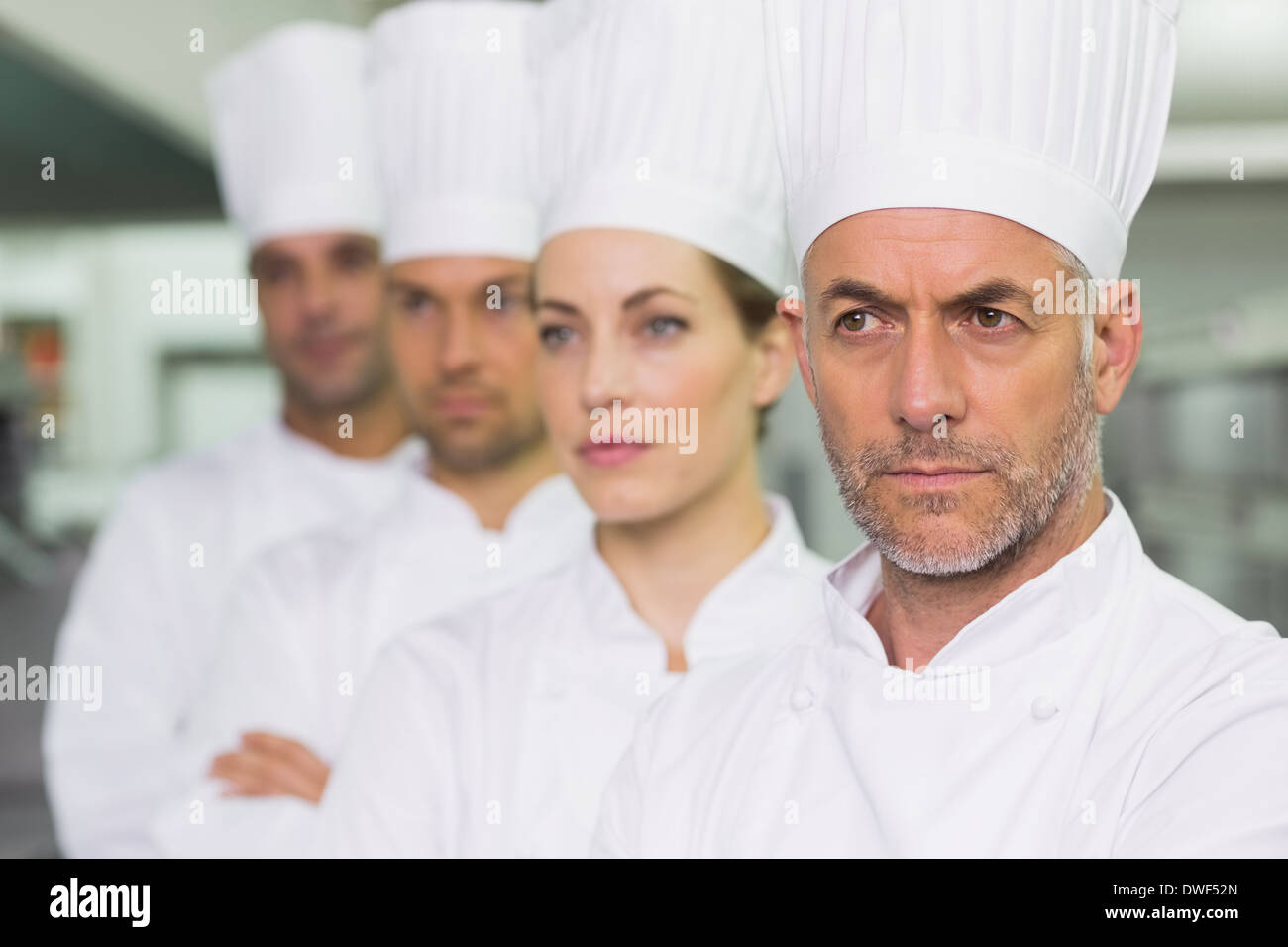 Serious team of chefs standing in line Stock Photo - Alamy