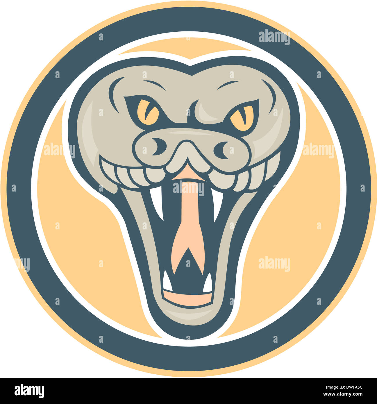 Snake head front hi-res stock photography and images - Alamy