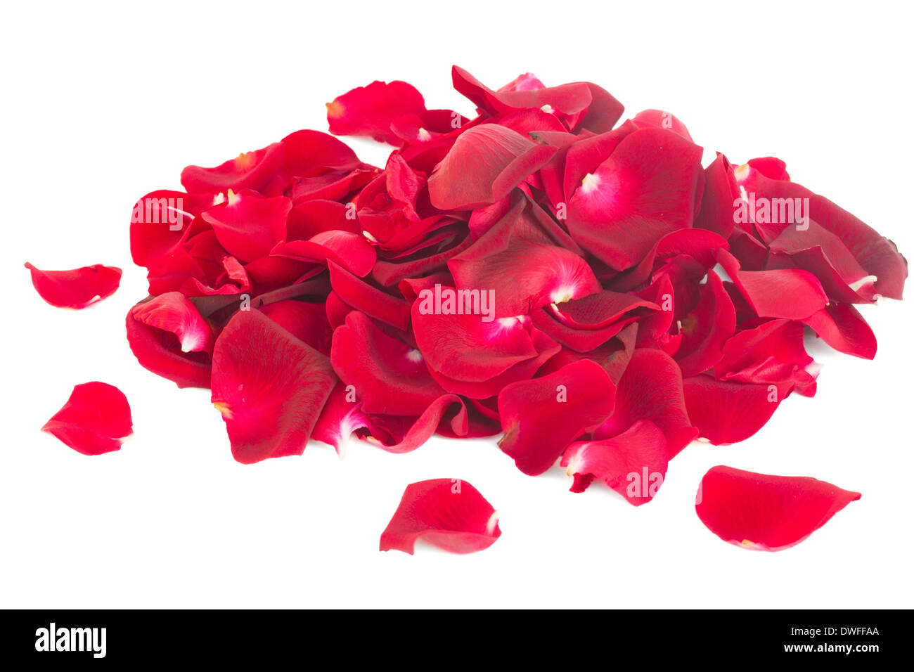 Pile rose petals hi-res stock photography and images - Alamy