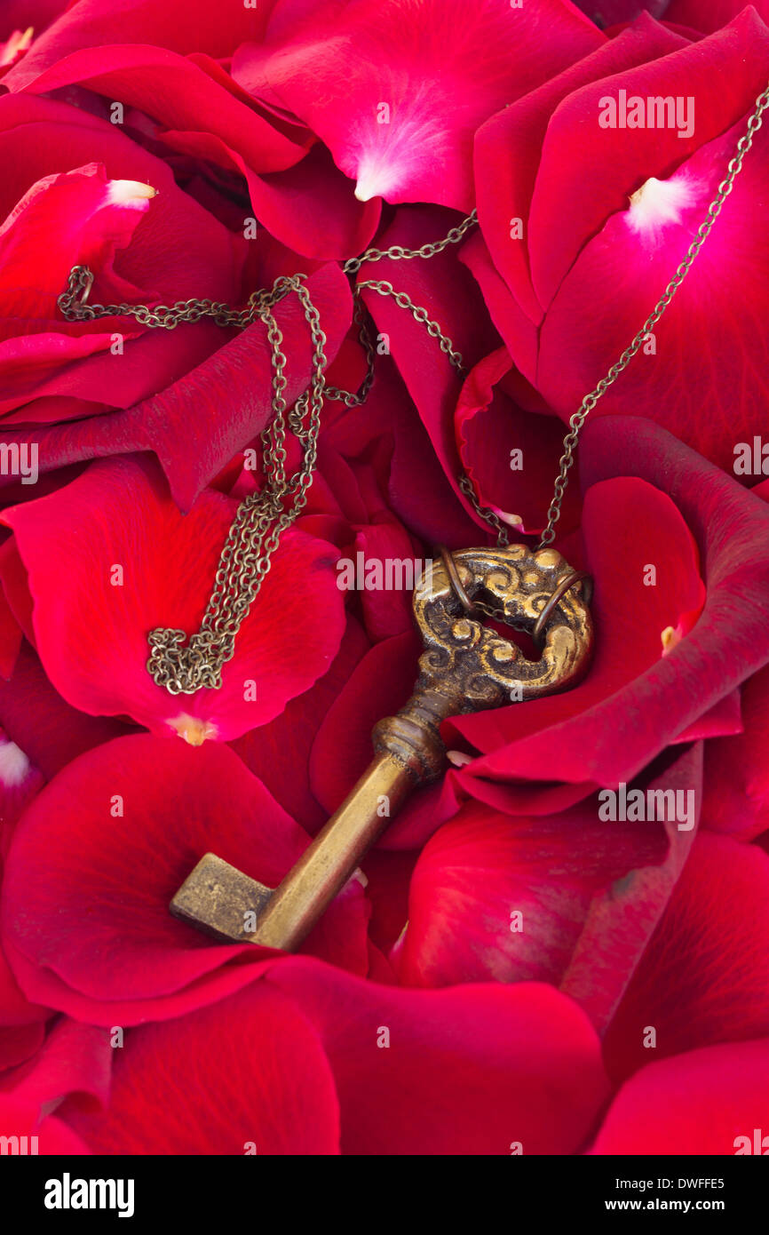 Key with red rose petals Stock Photo - Alamy