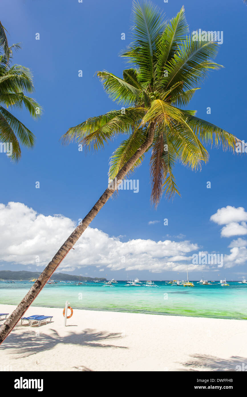 Tropical beach with palm and white sand, Philippines, Boracay Island ...