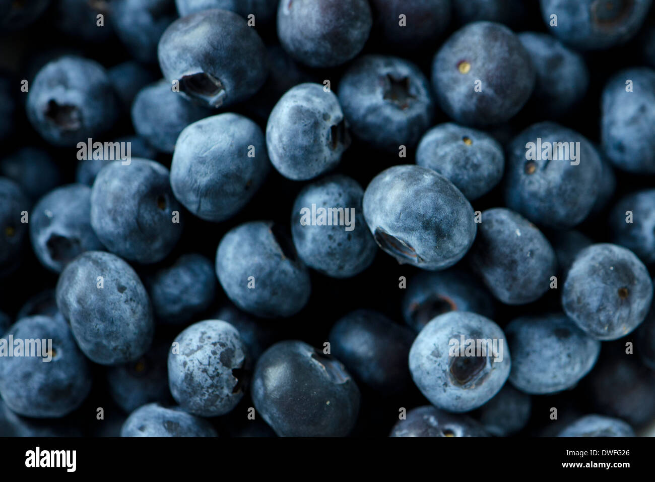 Blueberries supermarket hi-res stock photography and images - Alamy