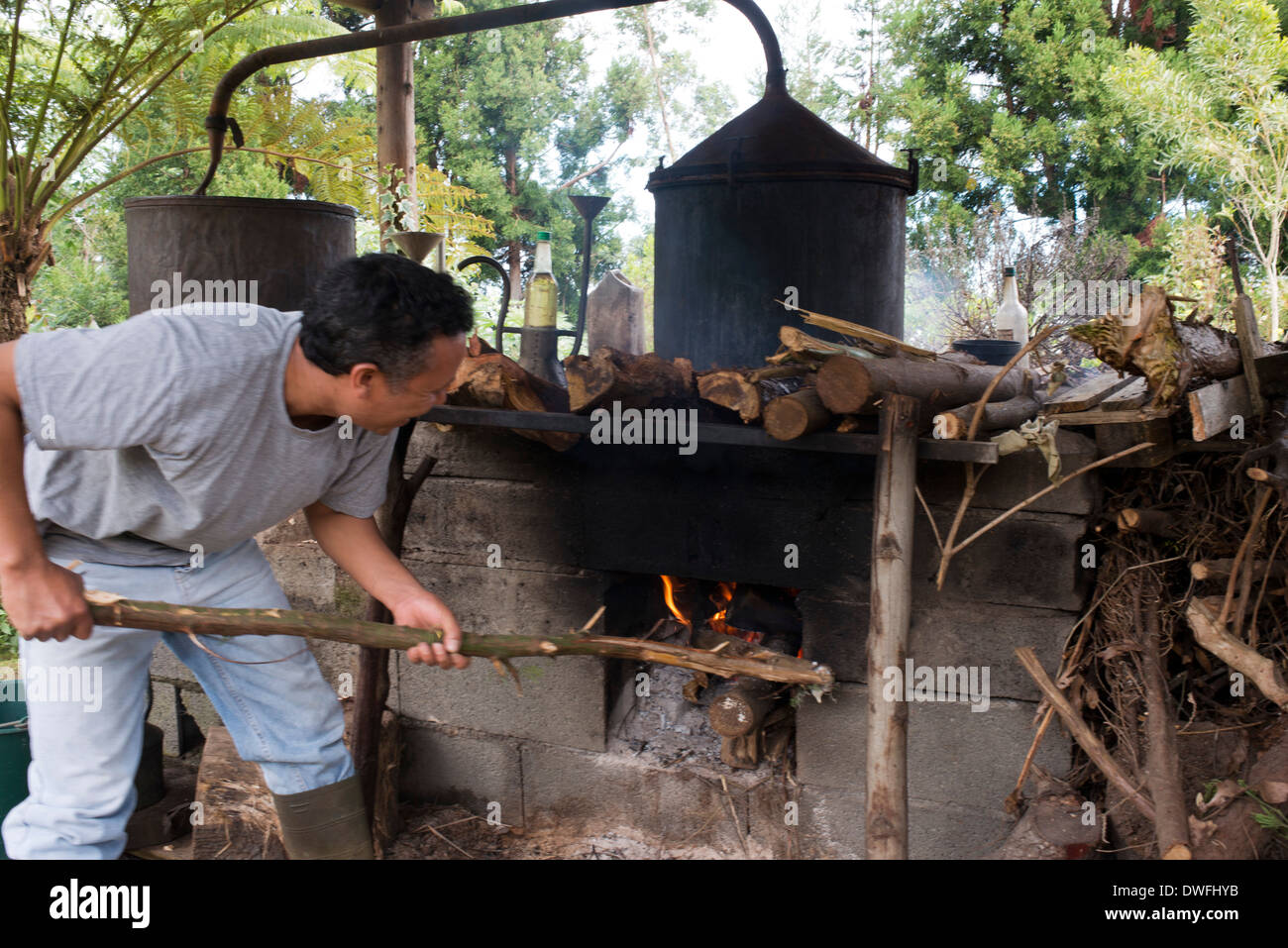 Perfume distillery in the small town of Petit France. Chez Isabel ...