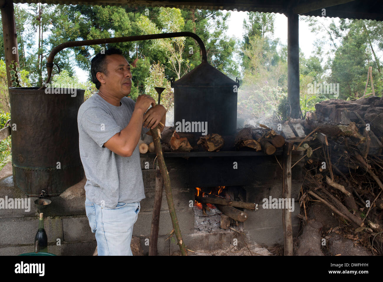 Perfume distillery in the small town of Petit France. Chez Isabel ...