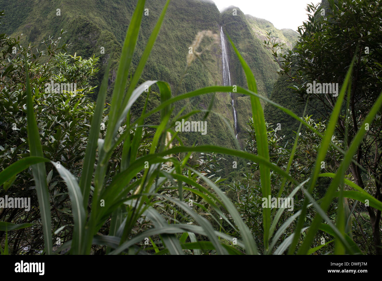 BLANCHE CASCADE, the most famous waterfall in Reunion Island .. This ...
