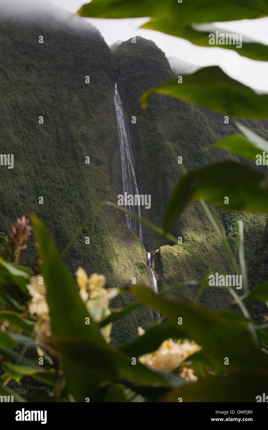 BLANCHE CASCADE, the most famous waterfall in Reunion Island .. This ...