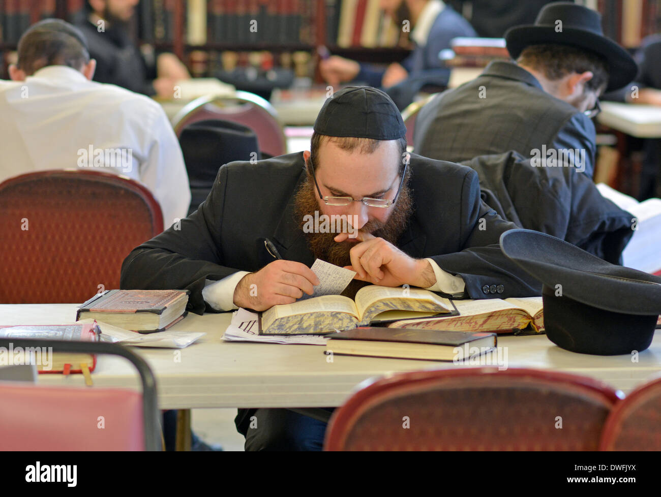 Lubavitch hasidic student studying talmud hi-res stock photography and ...