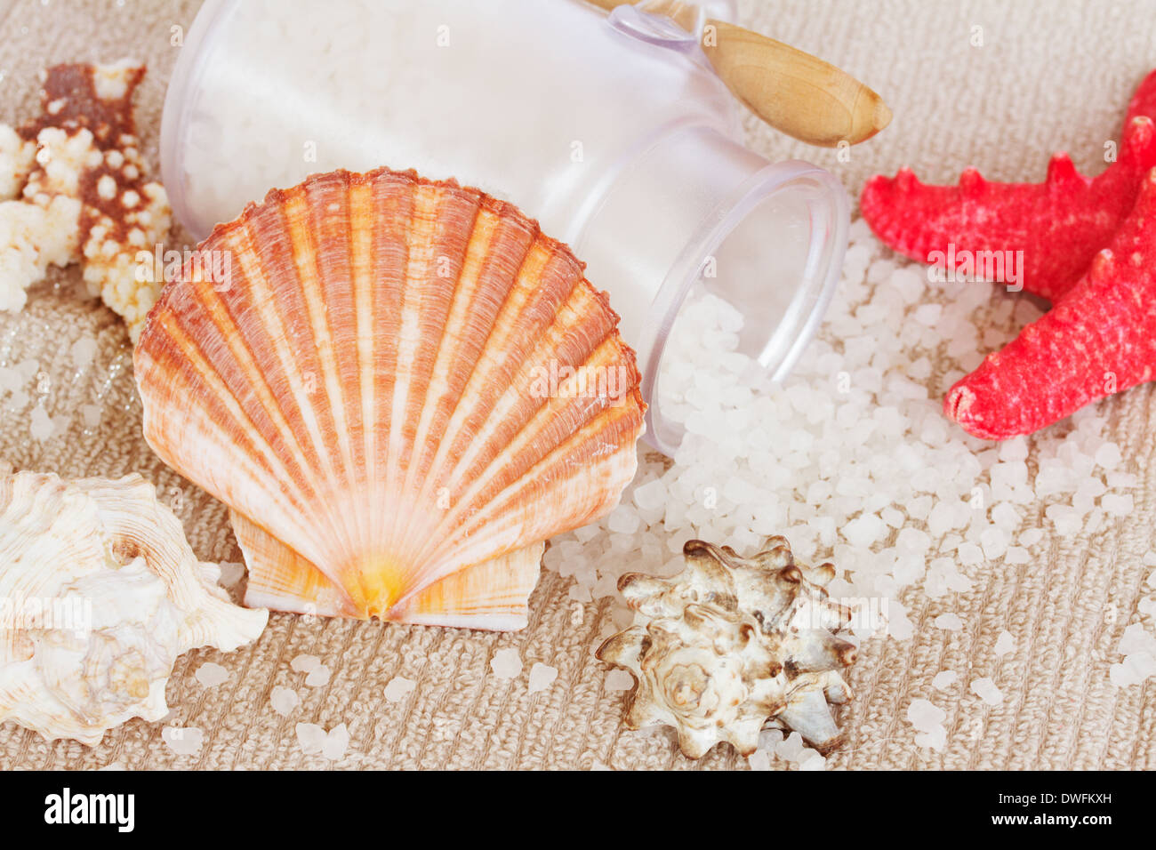 Sea spa setting with scallops comb shell Stock Photo - Alamy