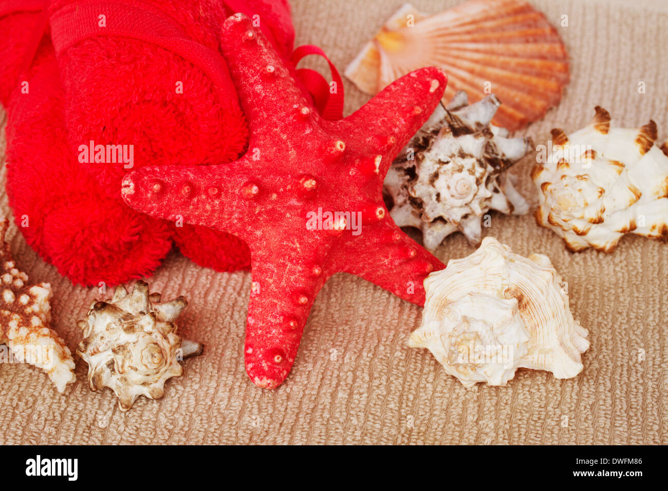 Sea spa setting with red star fish Stock Photo - Alamy
