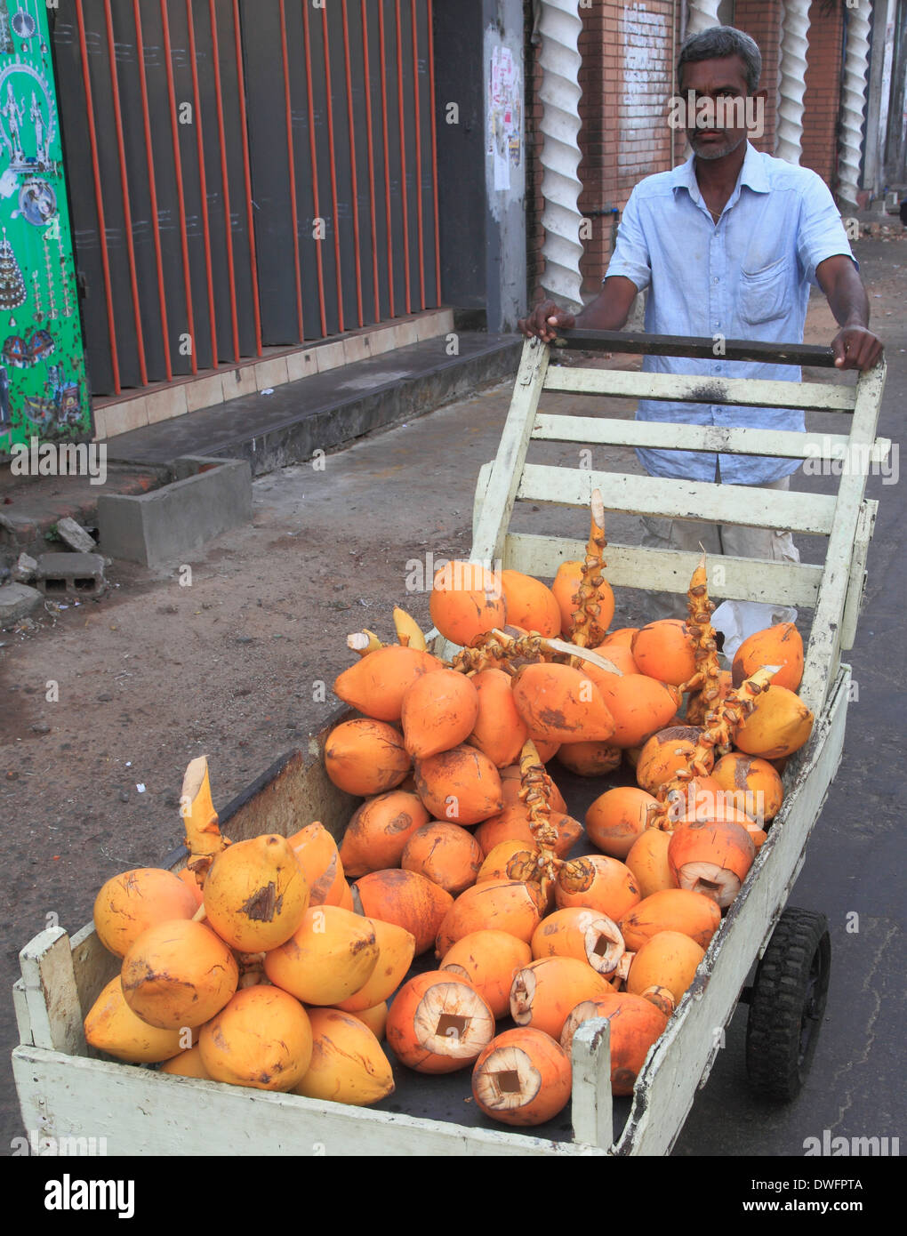 Sri lanka coconut man hi-res stock photography and images - Alamy