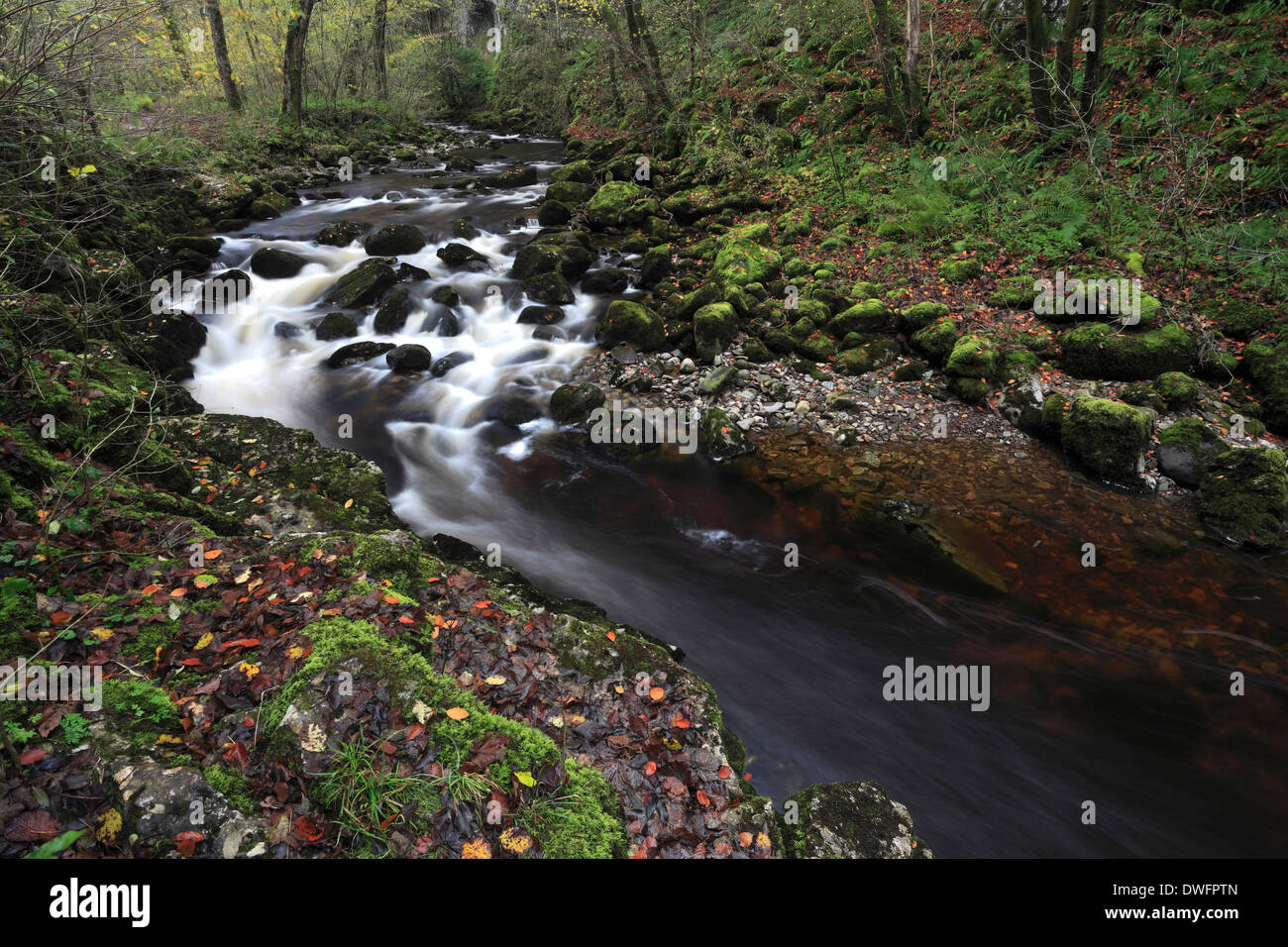 Autumn river Greta, Ingleton village, Yorkshire Dales National Park ...